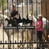 Wimbledon Village Stables – Horse Riding in London and Surrey