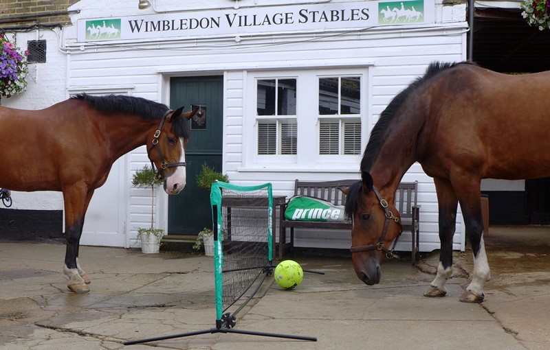 Wimbledon Village Stables photo gallery | Wimbledon Village Stables
