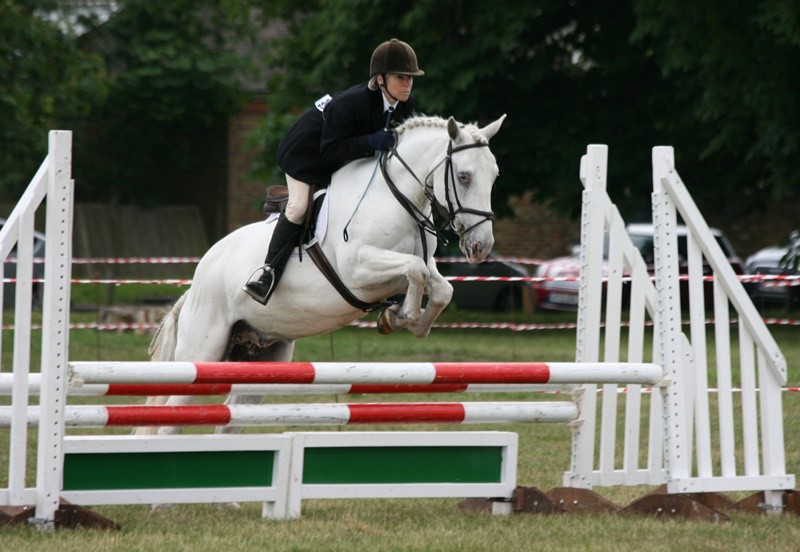 Wimbledon Village Stables photo gallery – Wimbledon Village Stables