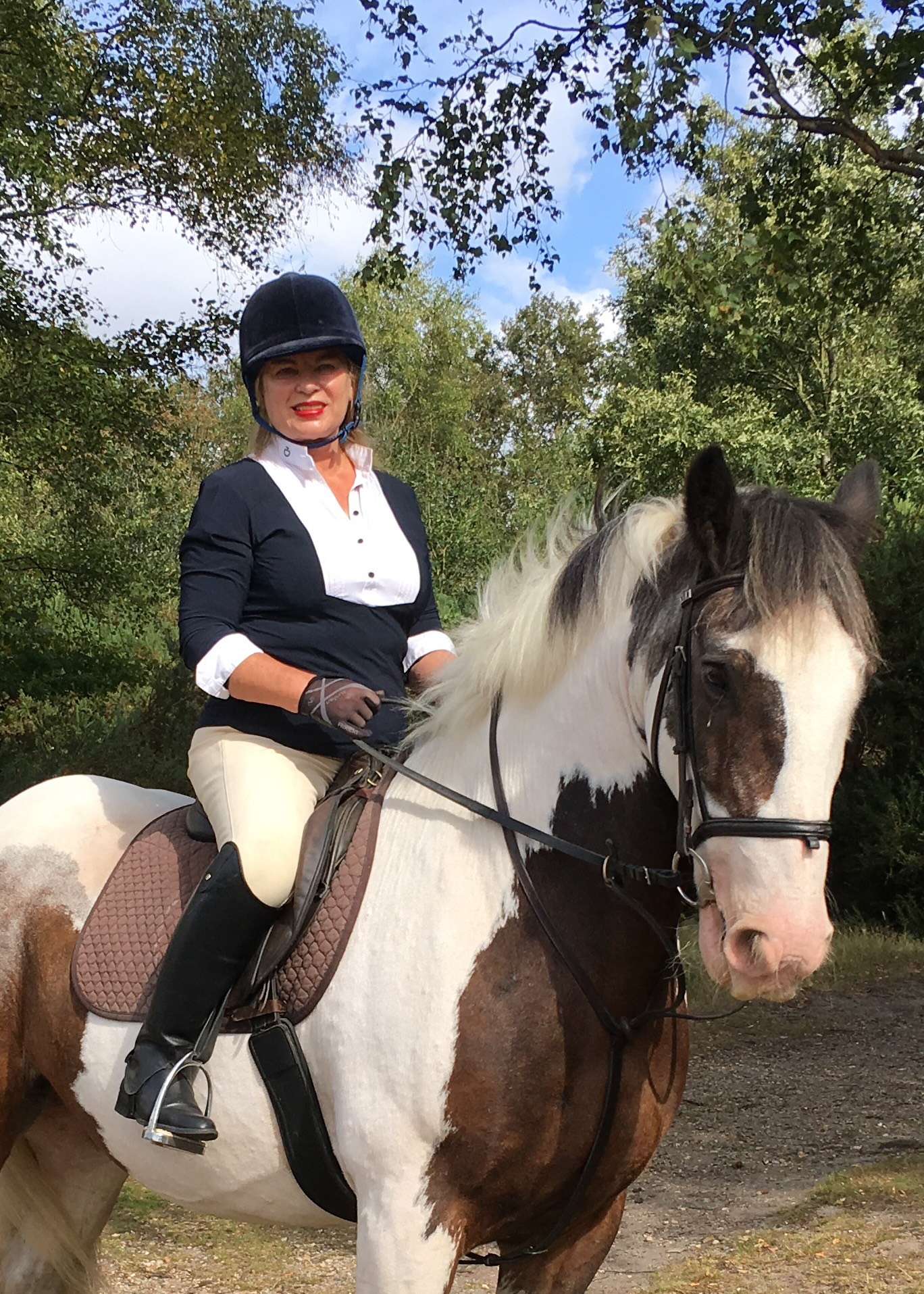 Meet the WVS Horses | Wimbledon Village Stables